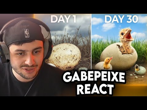 Eu Choquei os Maiores e Menores Ovos do Mundo - GABE REAGE