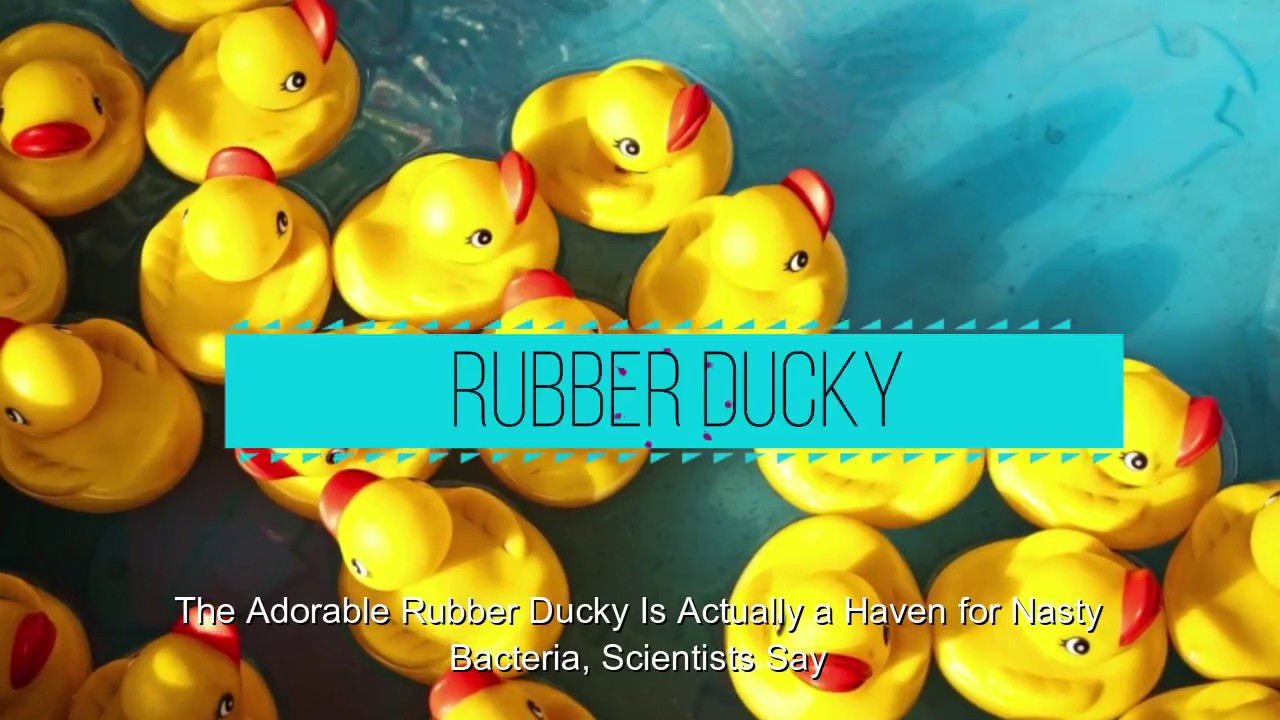 The Adorable Rubber Ducky Is Actually a Haven for Nasty Bacteria ...