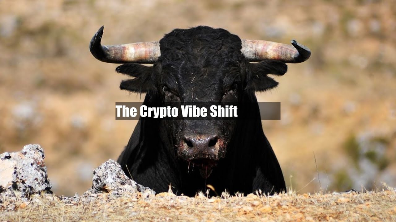 The Crypto Vibe Shift - YouTube