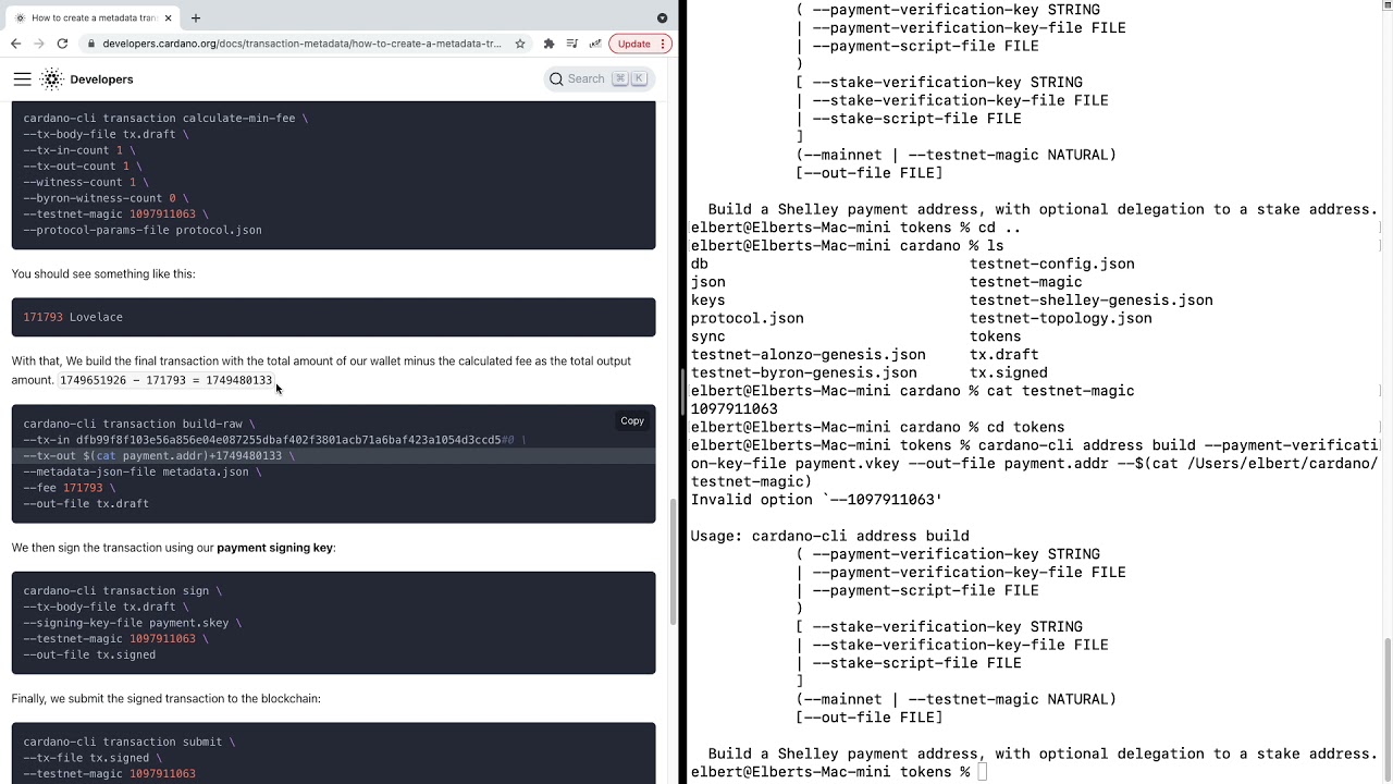 How to mint native assets using cardano-cli - YouTube