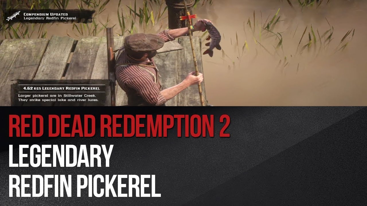 Red Dead Redemption 2 - Legendary Redfin Pickerel - YouTube