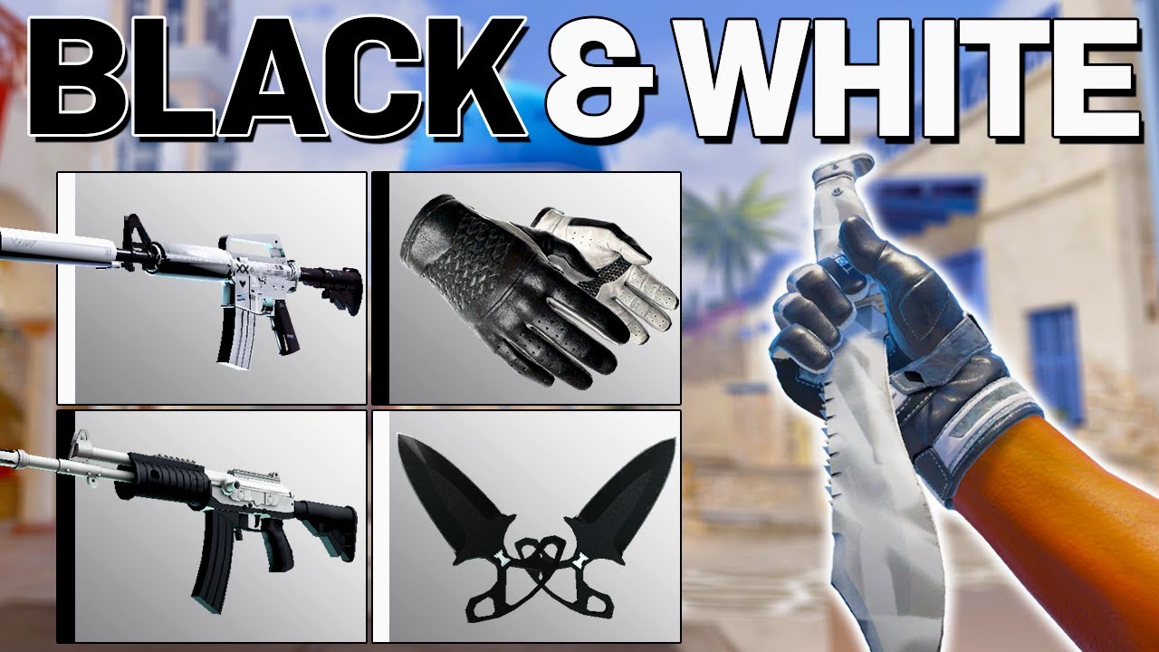 The BEST BLACK and WHITE Themed CS2 Loadout! (Cheap & Expensive) - YouTube