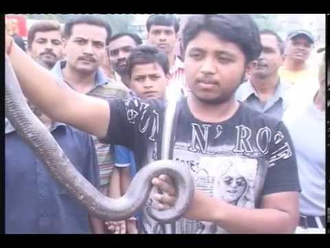 Two-Headed Snakes Red Sand Boa - YouTube