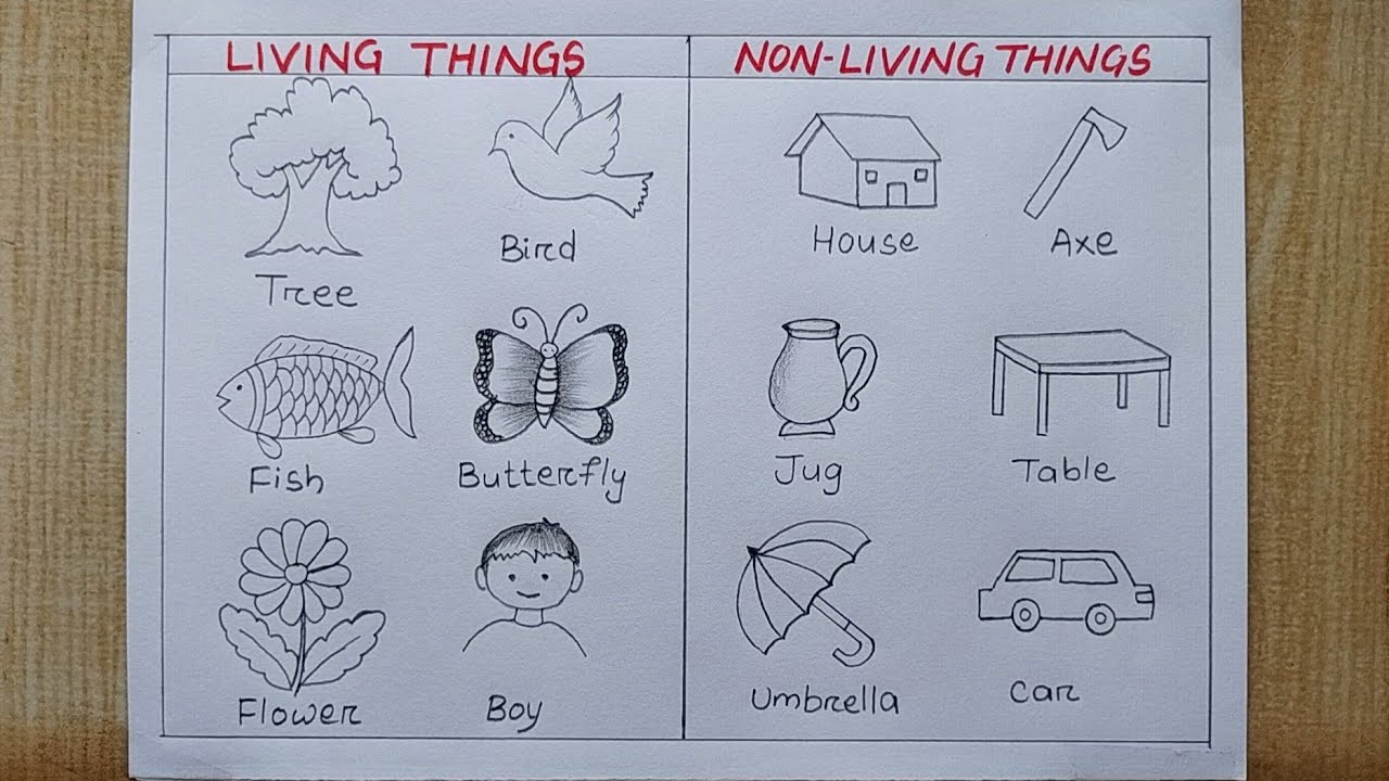 Living Things and Non-living Things drawing easy| Living and Non-living ...