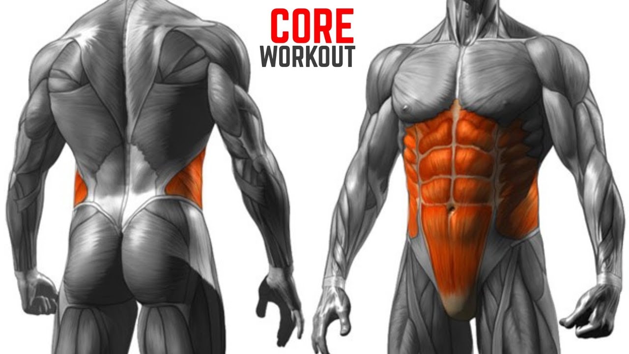 1,250 Rep Core Workout For Fat Loss Beginner/Friendly - YouTube