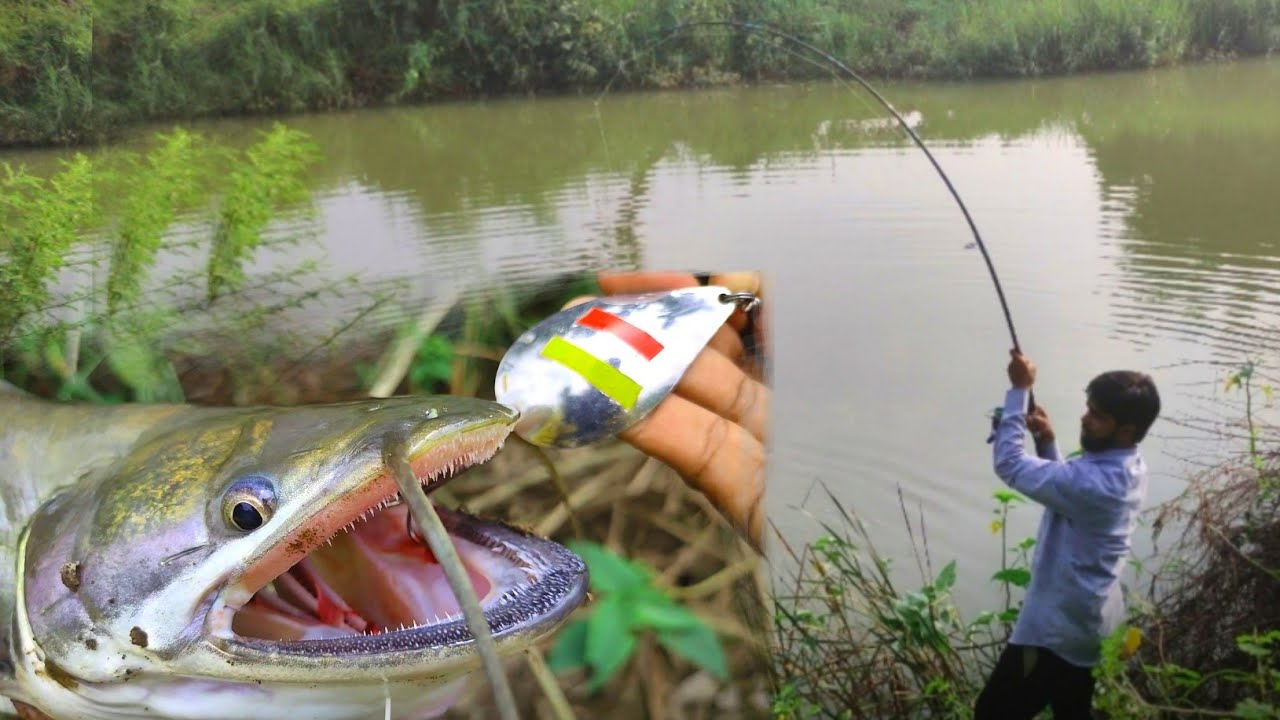 Best Patan Fishing Technique||Padhina Fish Catching||Spoon Fishing Tips ...
