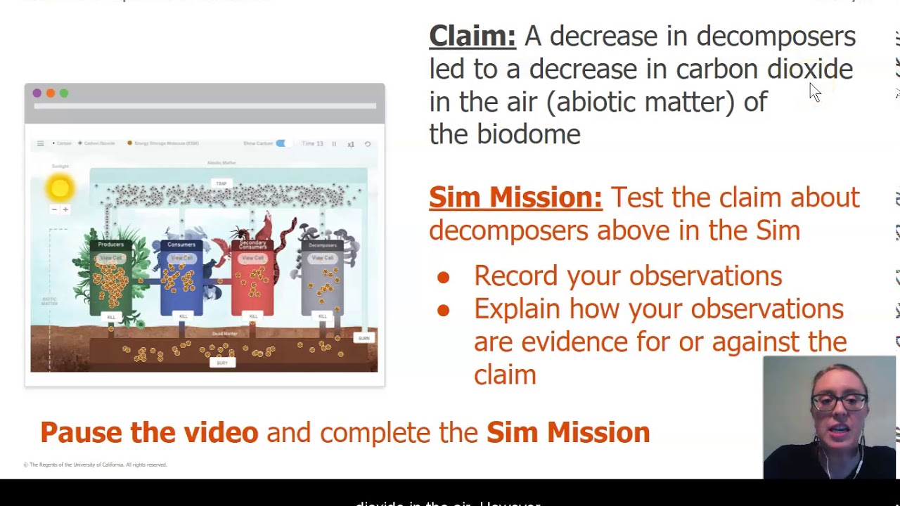 Grade 7: Matter and Energy in Ecosystems, Lesson 8 (Part 2 of 3) - YouTube