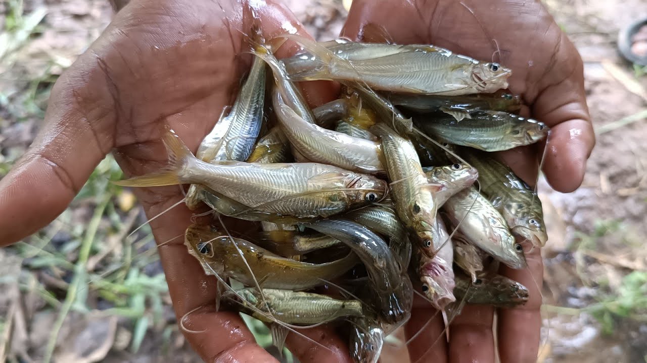 Unique Hook fishing by Hunter brothers - YouTube