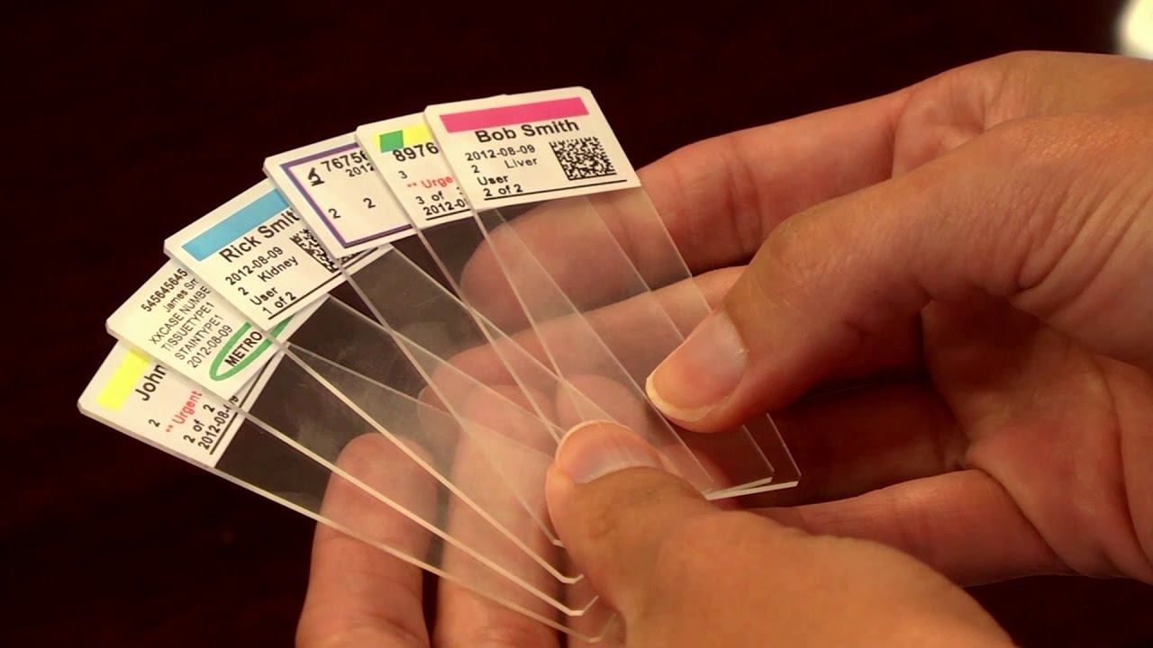 Primera Signature Slide Printer - YouTube