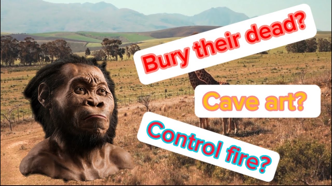 Homo Naledi - Their Unusual Anatomy and Amazing New Archeological ...