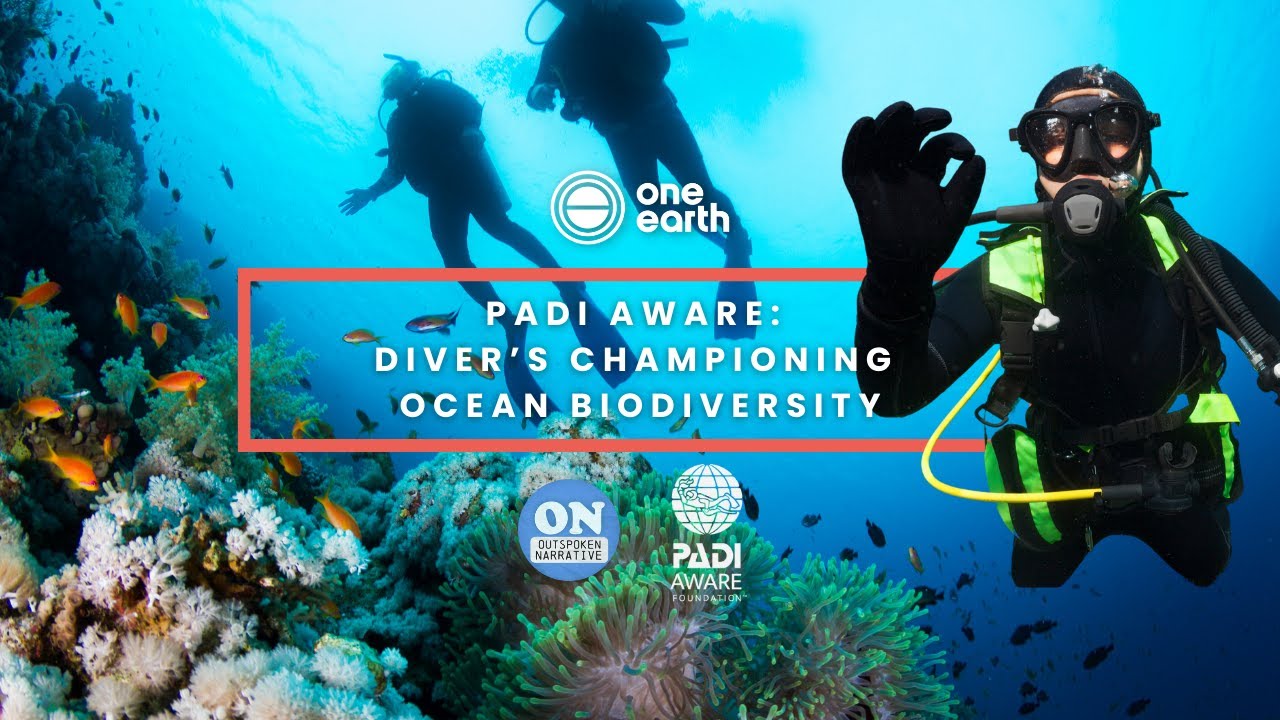 PADI AWARE: using citizen science to protect ocean biodiversity | One ...