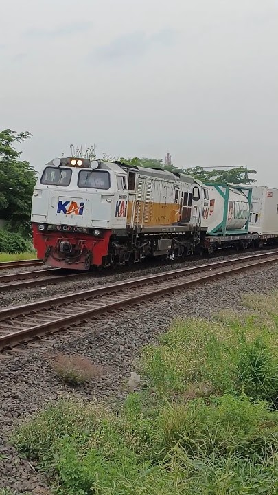 Train Indonesia #railtrain #train #railway #railcrossing - YouTube
