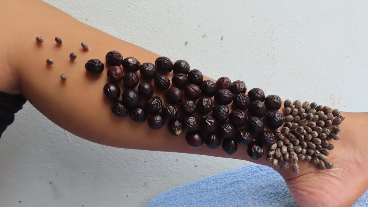 Best removing a lot of ticks style on leg woman | Designed from cereals ...