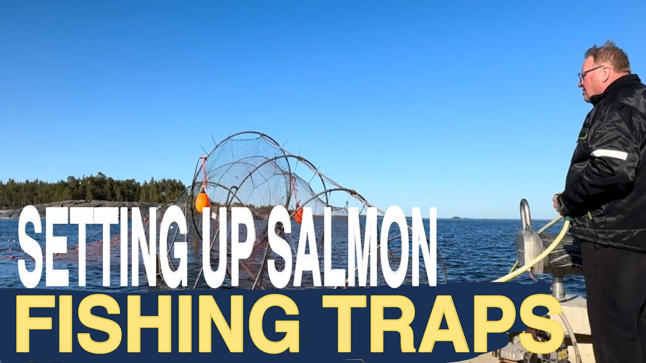 Salmon fishing traps in the sea - YouTube