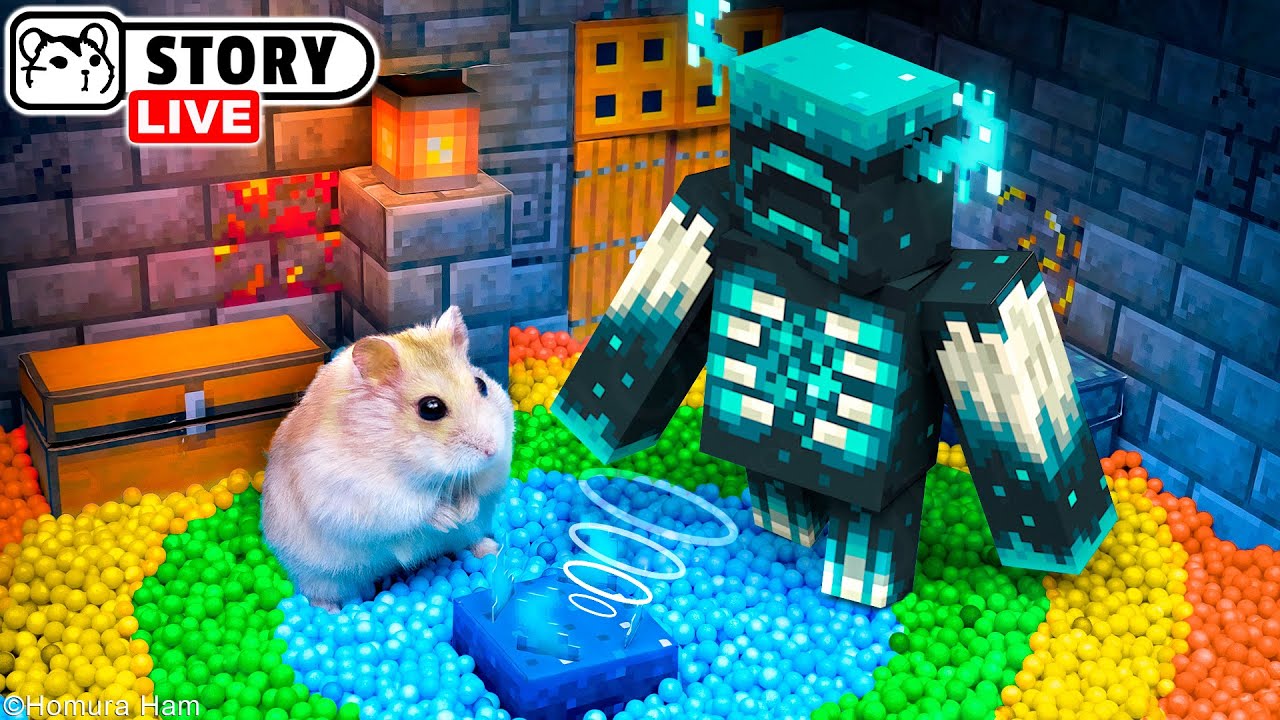 The World's Largest Hamster Minecraft Maze 🐹 Homura Ham - YouTube