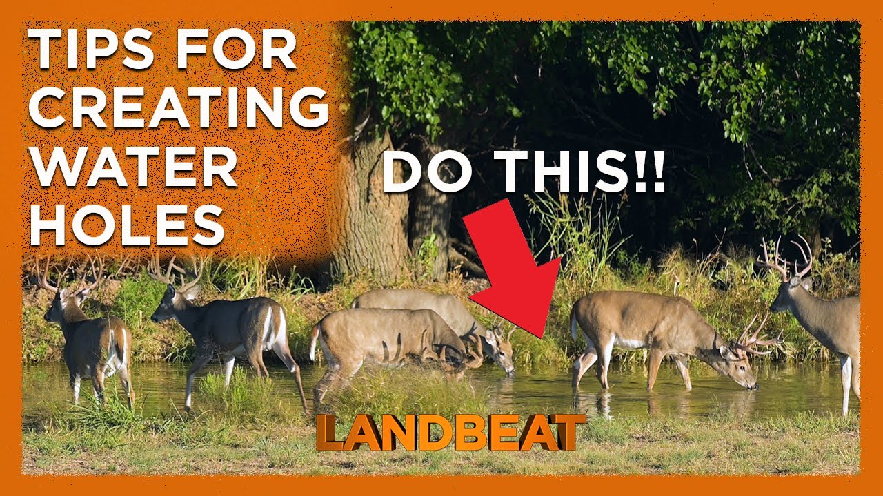 MOST Important Thing For Deer Water Holes! - YouTube