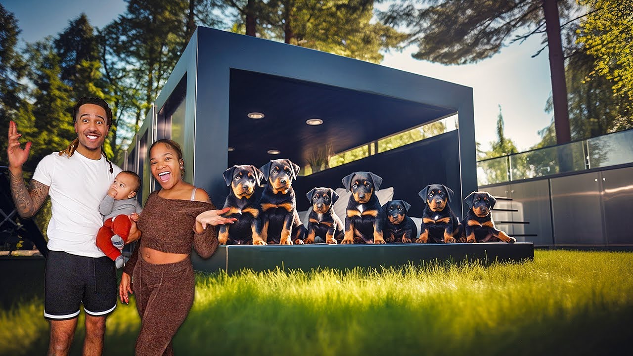 We Built Our Puppies A Dream Dog House! - YouTube
