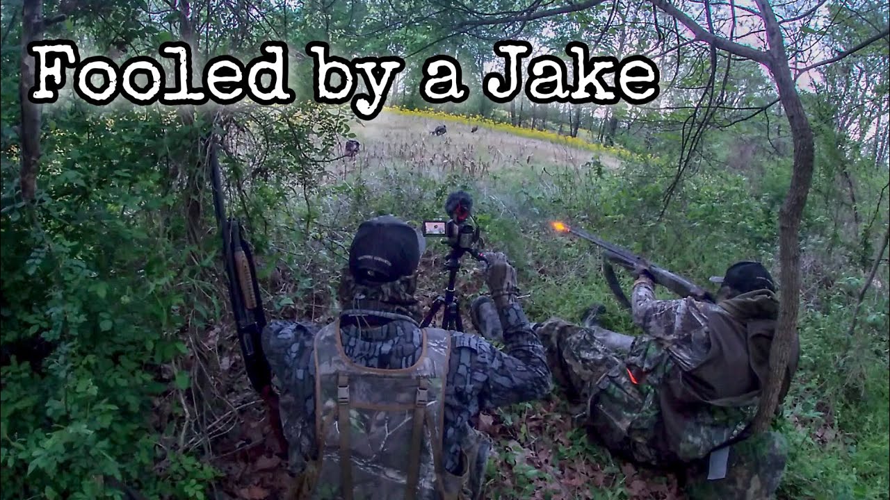 fooled by a Jake with a grown man's gobble - YouTube