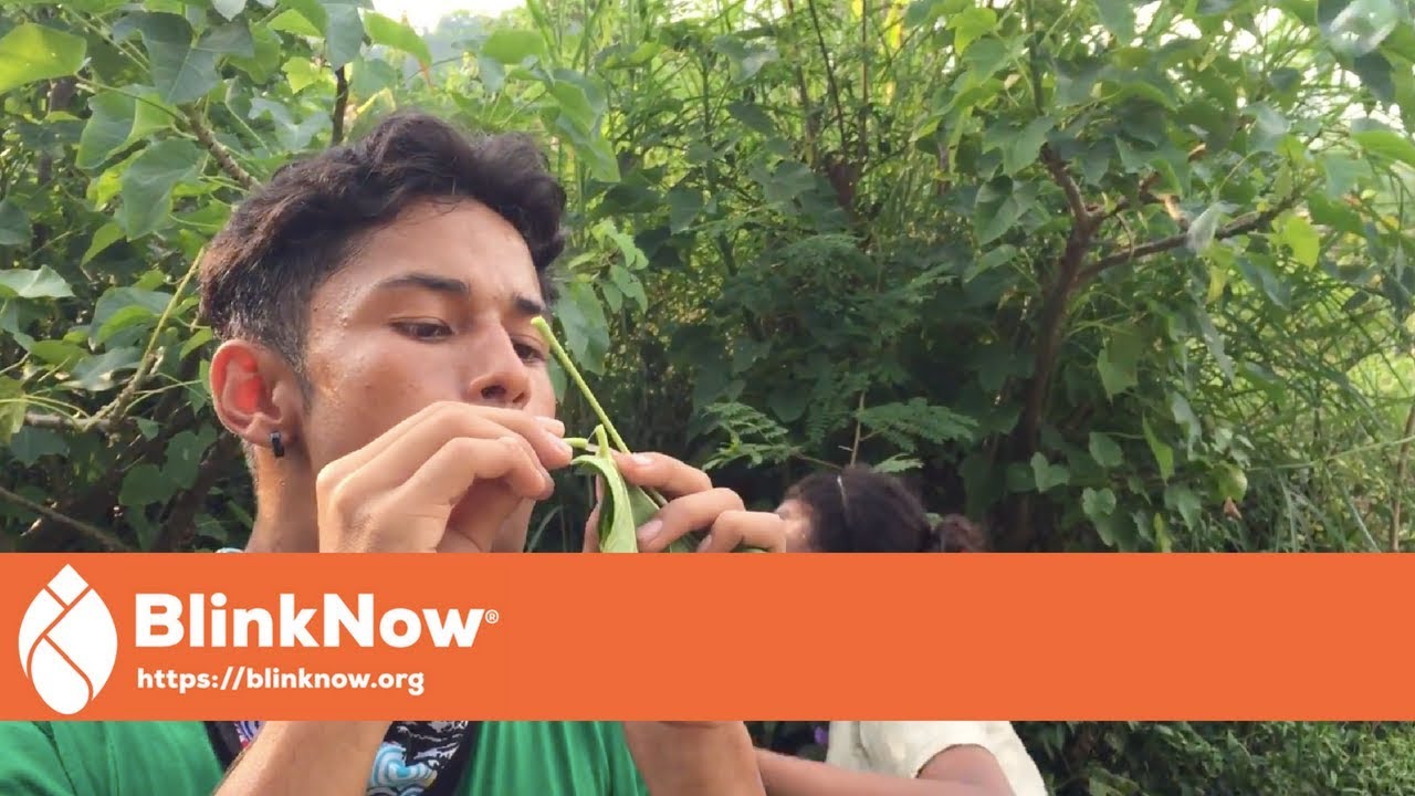 Blowing Bubbles Using a Leaf! - YouTube