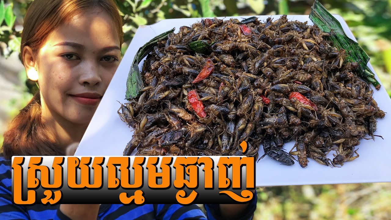 របៀបបំពងចង្រិតឲ្យស្រួយឆ្ងាញ់ - Crispy Cricket Frying Recipe - YouTube