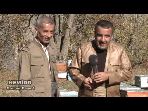 Hemido, Gever, Gundé Oremar, beşa 1.