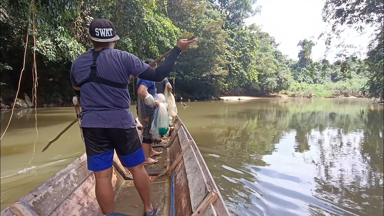 Ulu Mukah... Suasana yang begitu cantik dan sungai yang bersih,tak ...