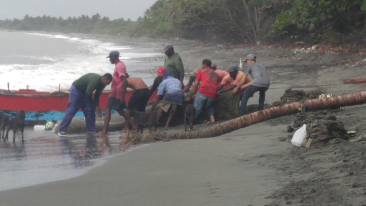 Pesca en la playa(9) - YouTube