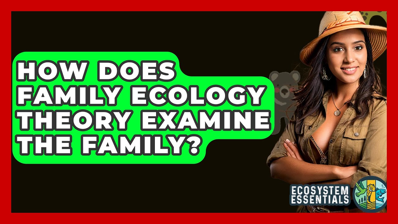 How Does Family Ecology Theory Examine The Family? - Ecosystem ...