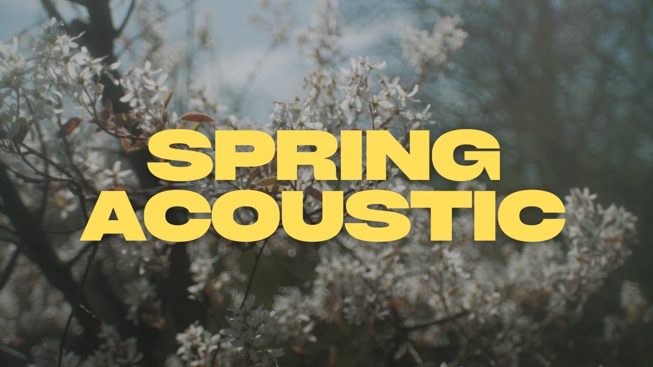 Spring Acoustic Songs | Relaxing Chill Music - YouTube