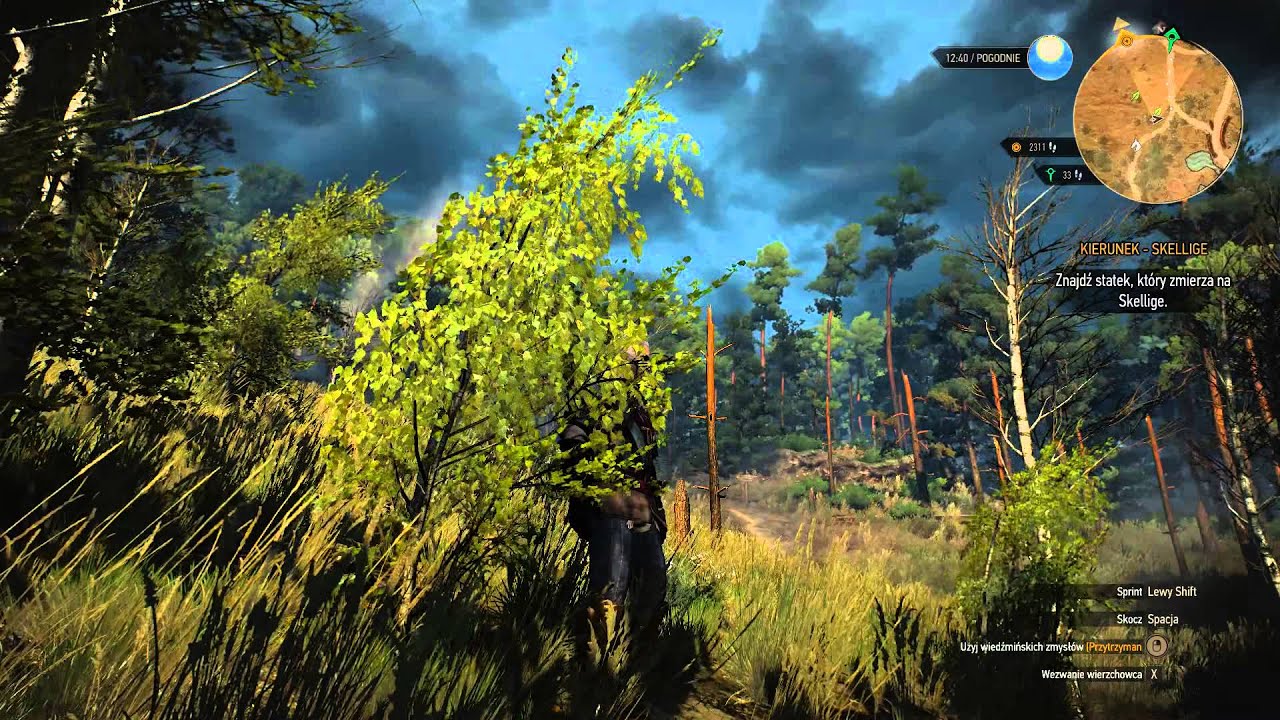 Witcher 3 - trees transparency problem - YouTube