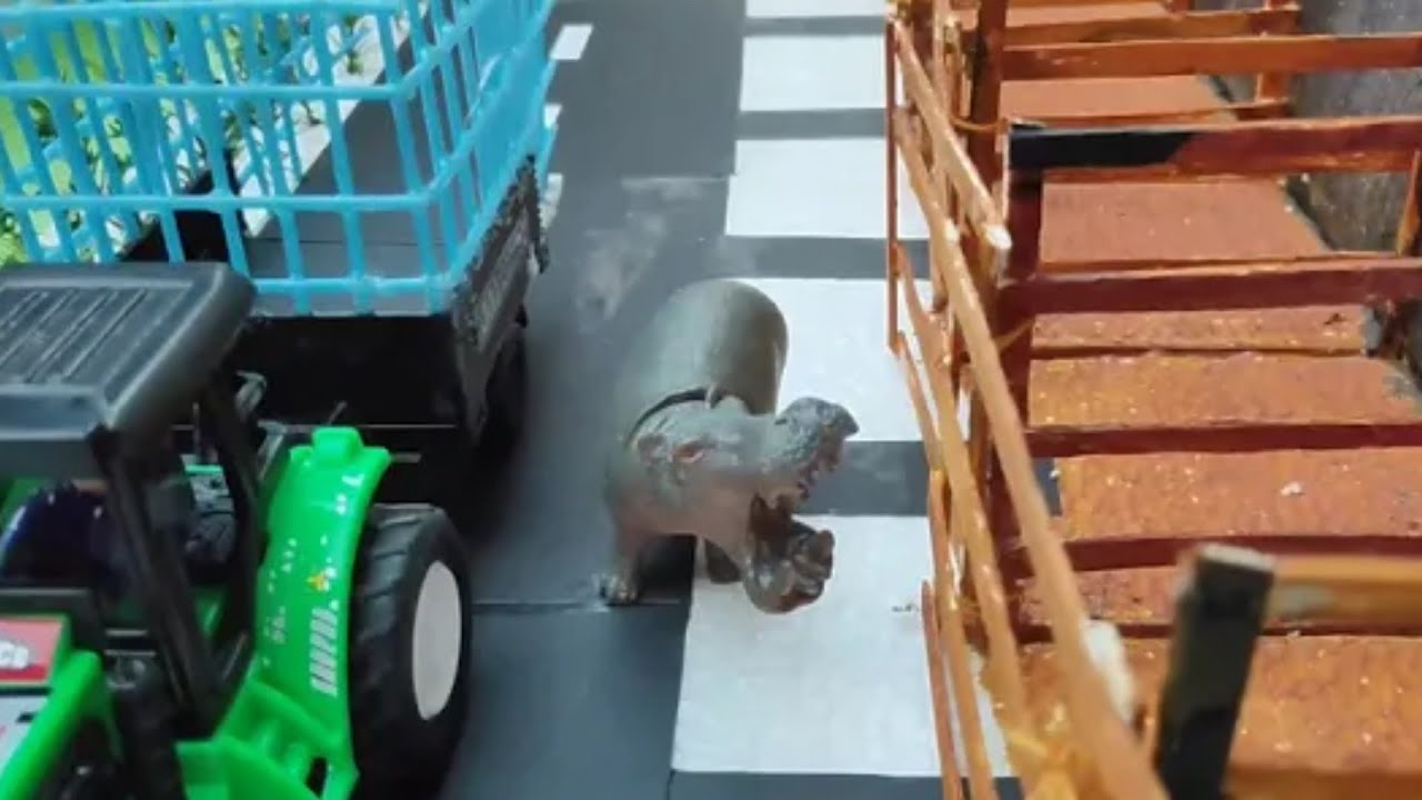 Zoo Animals Transport Video | Transfer Animals to New Cage | Tractor ...