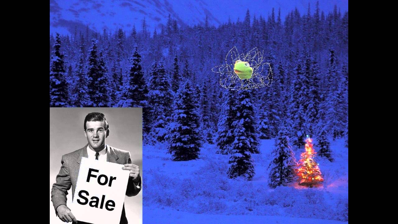Pube Muppet Buys a Christmas Tree! (Season 3, Prologue) - YouTube