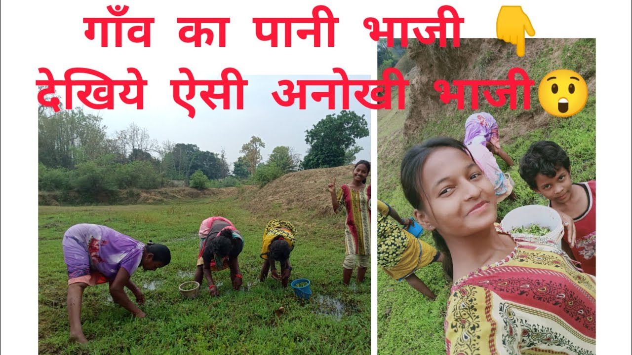 हमारे गांव का पानी साग | Sunsuniya bhaaji | स्वादिस्ट और विटामिन युक्त ...