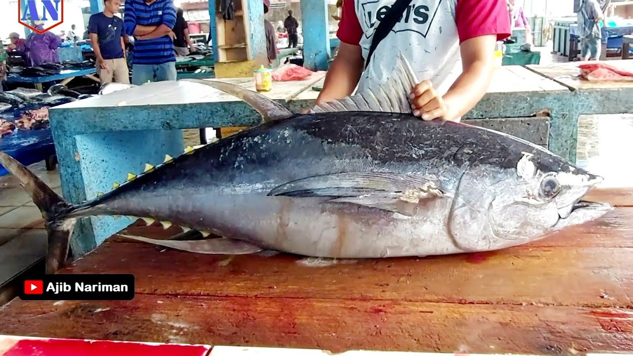 Fresh Tuna Cutting ‼️ Skills Cutting tuna and peeling skin for Family ...