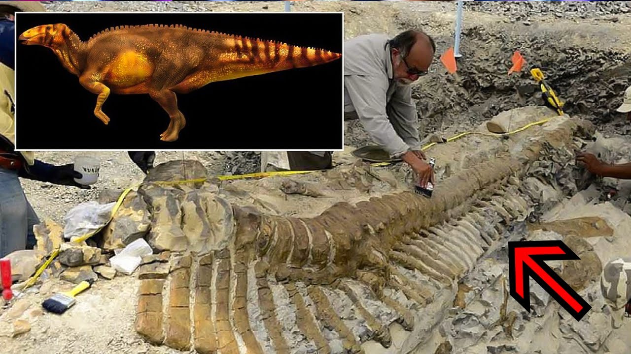 72 Million-Year-Old Monster Discovered In Mexico! - YouTube