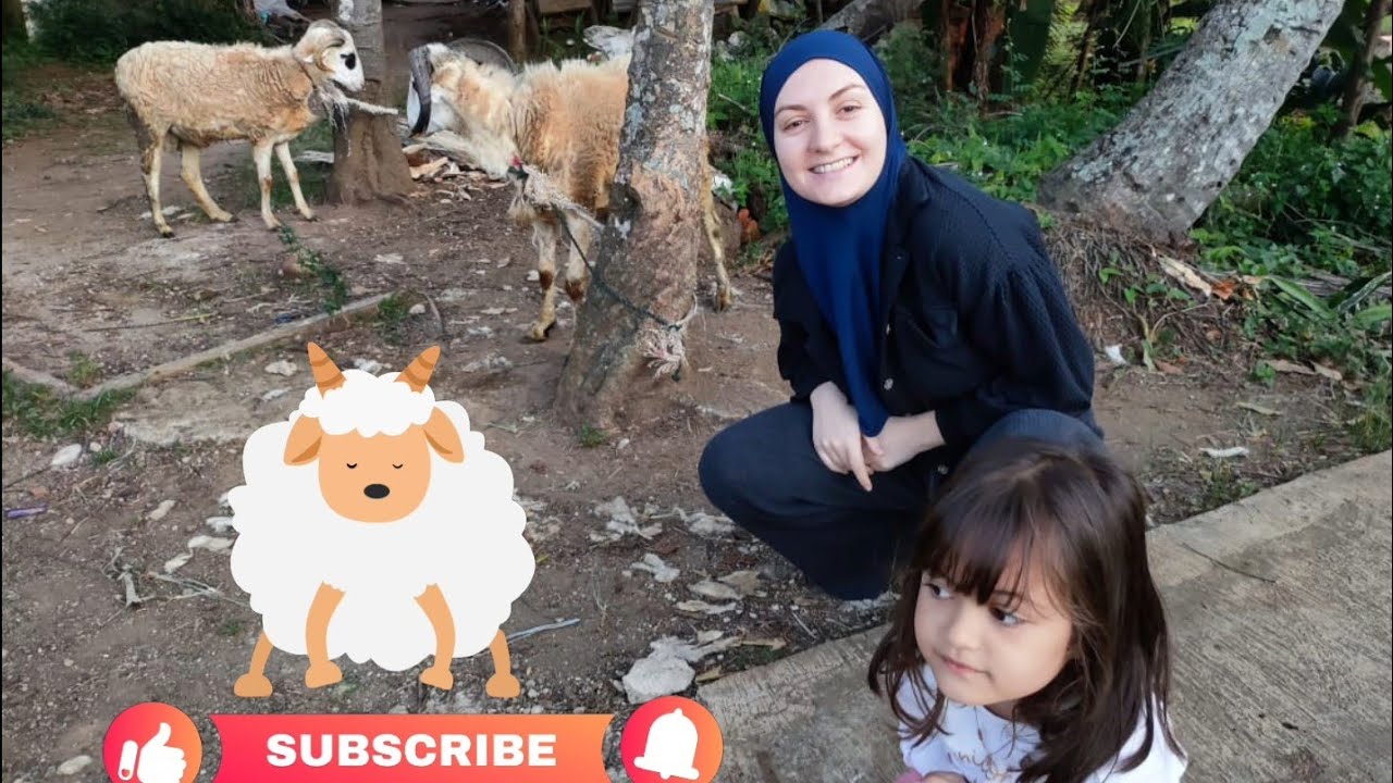 ALHAMDULILLAH BISA AQIQAH BUAT DEDE FATIN DAN SAYA.... - YouTube