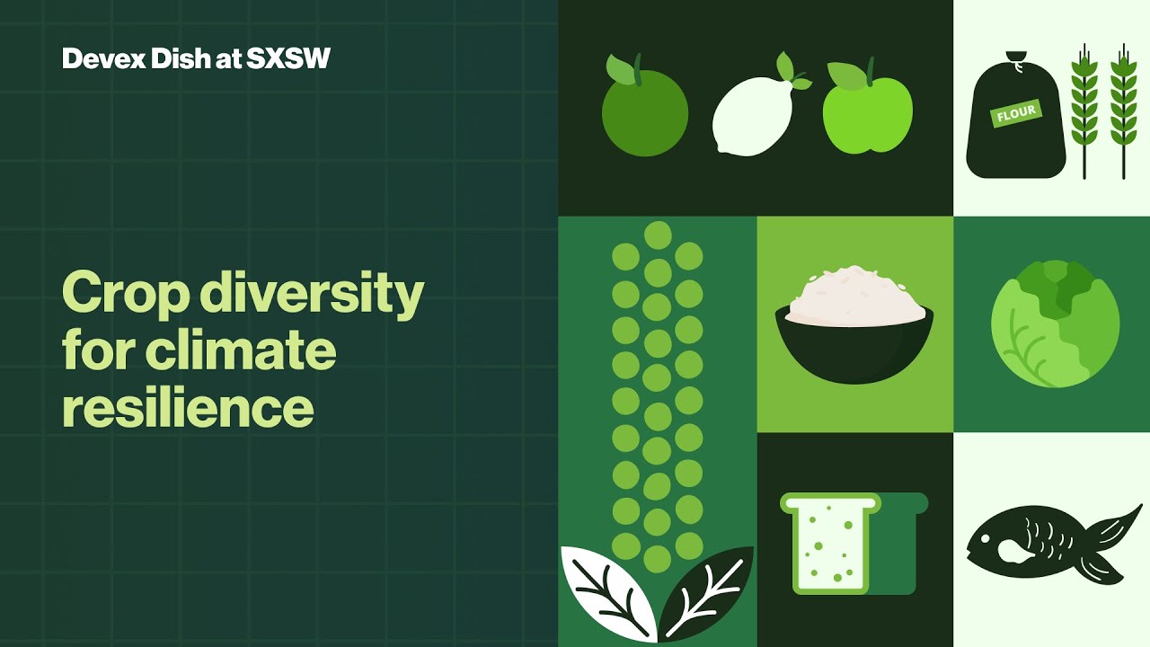Crop diversity for climate resilience - YouTube