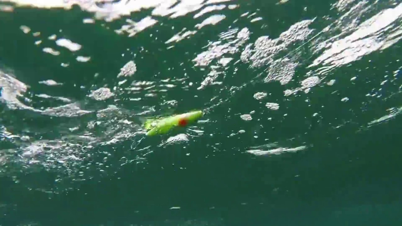 How Lures Swim Bomber Badonk a Donk - YouTube