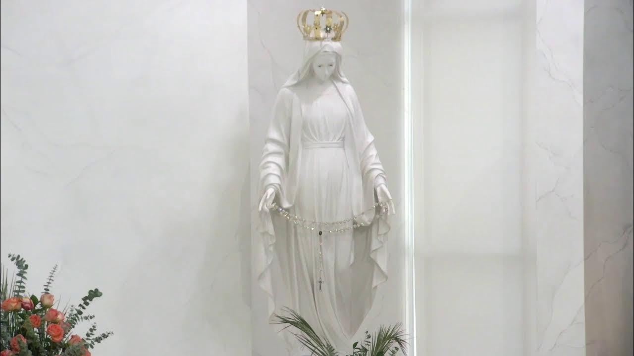 Santa Misa Xxi Domingo Ordinario 7am Youtube
