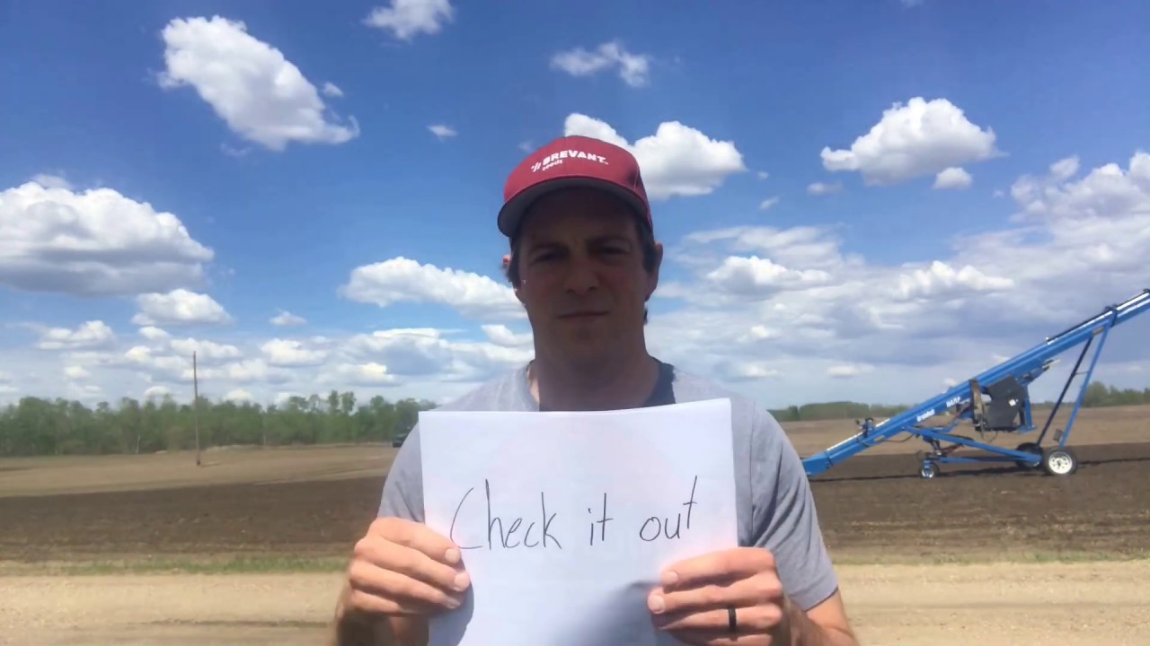 Brevant® seed B3010M Canola | Corteva Agriscience Canada - YouTube