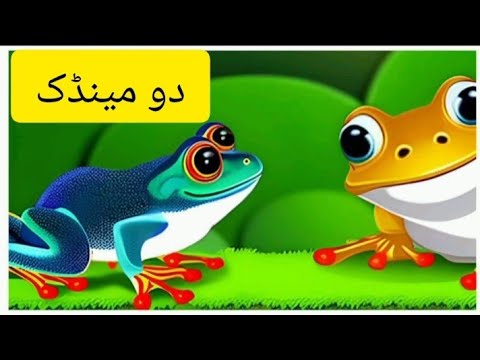 Two Frogs || دو مینڈک || Animated Stories || Moral Stories || Urdu ...