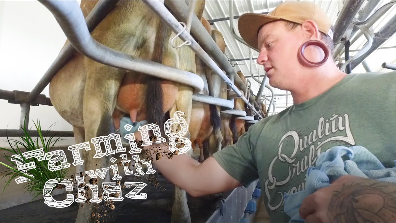 Farming With Chaz Ep. 1: The Milking Process - YouTube