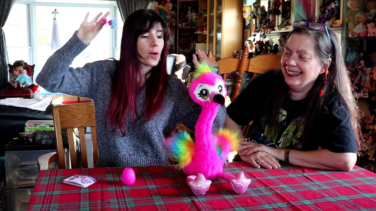 Pets Alive Frankie the Funky Flamingo - YouTube