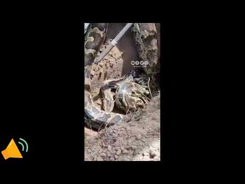 Qabr Ka Azab | Allah Ka Azab | Ya Allah Raham Farma 😭 | Qabr Se Nikla Bada Saanp ( Snake )