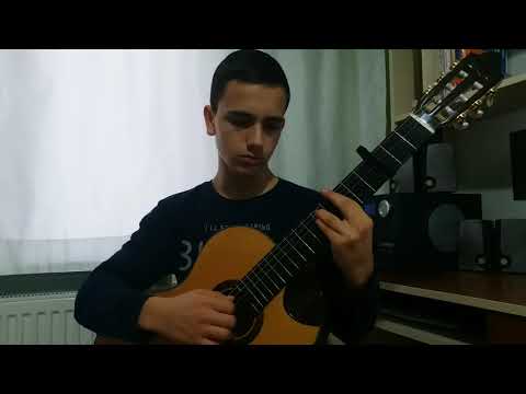 Sensin Tesellim _ Ferdi Tayfur _ Gitar Cover