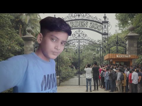 Garden zoo  visit like subscribe comment Abdullah 777