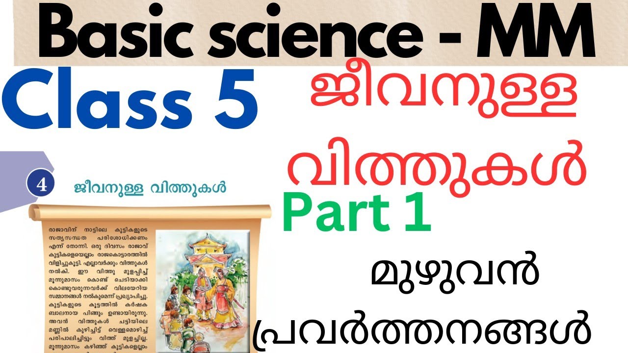 Class 5 Basic Science MM Unit 4 Seeds life explanation and Activities # ...