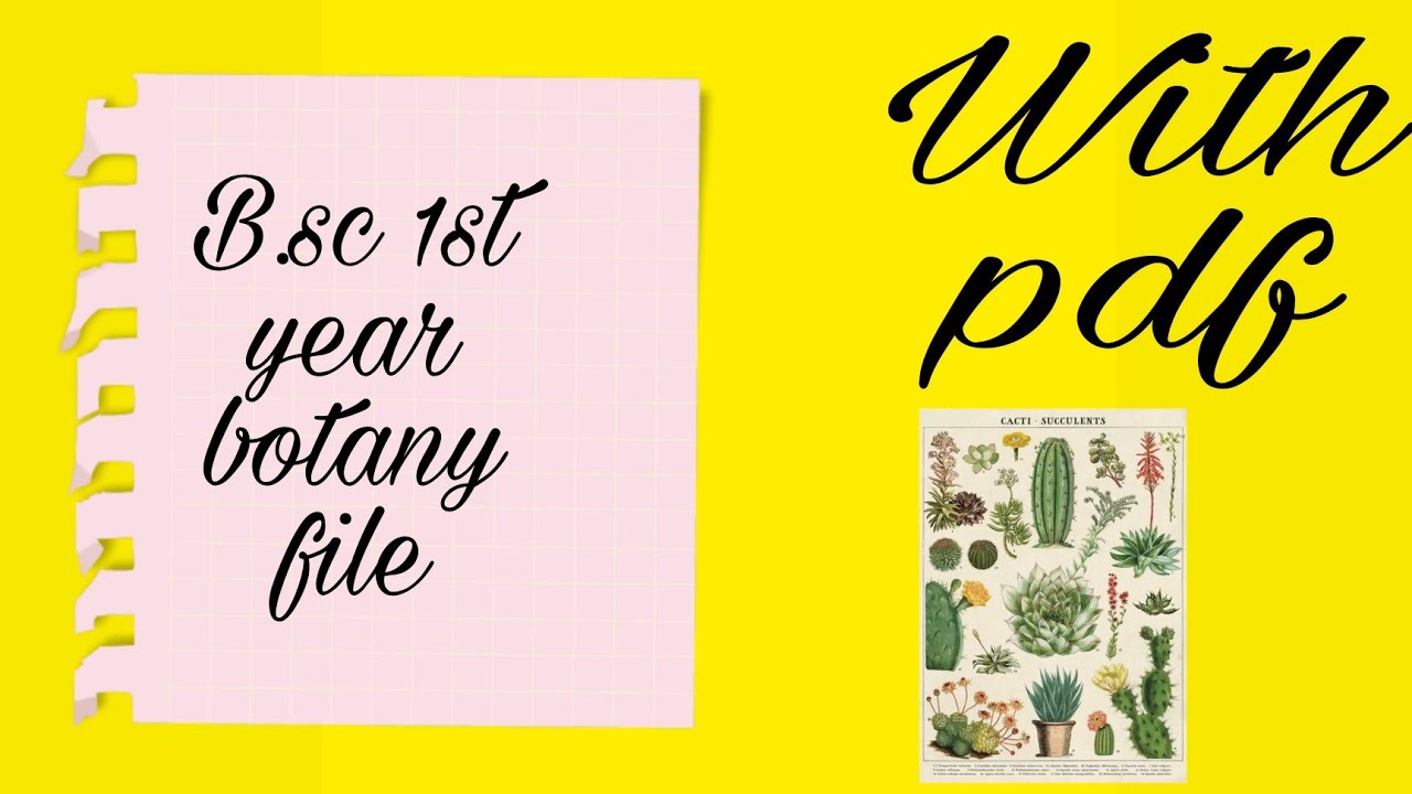 B.sc 1st year botany practical file - YouTube