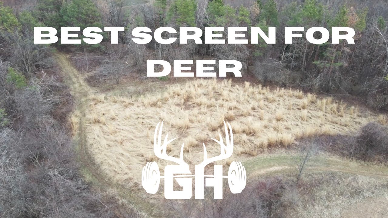 Whitetail Strategy // Best Screening For Deer // GUNNAR HANSON - YouTube