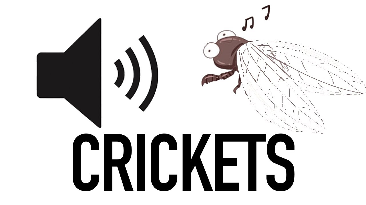 Crickets Sound Effect (HD) - Copyright Free - YouTube